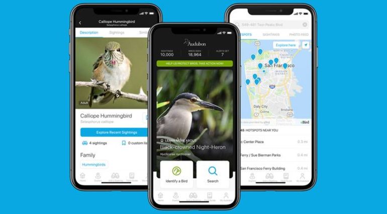AppHeros - Android & iOS Apps
