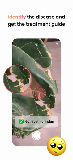 PlantIn: Plant Identification Android App