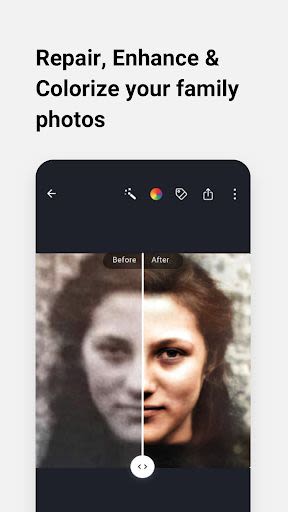 MyHeritage: Family tree & DNA Android App