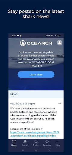 OCEARCH Shark Tracker Android App