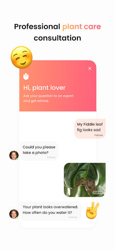 PlantIn: Plant Identification Android App