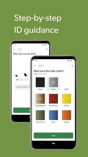 Merlin Bird ID by Cornell Lab Android App