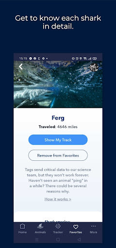 OCEARCH Shark Tracker Android App