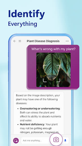 Microsoft Bing Search Android App